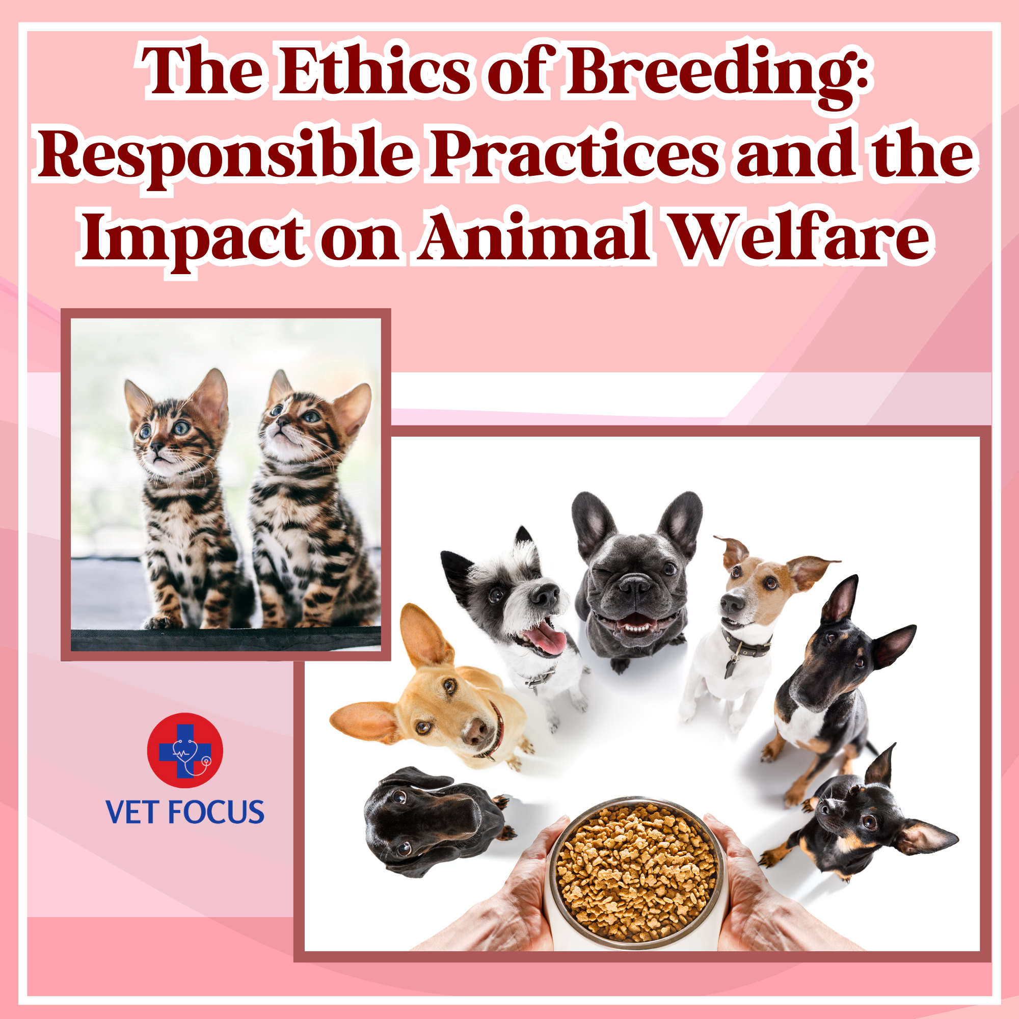 The Ethics of Breeding: Responsible Practices and the Impact on Animal ...