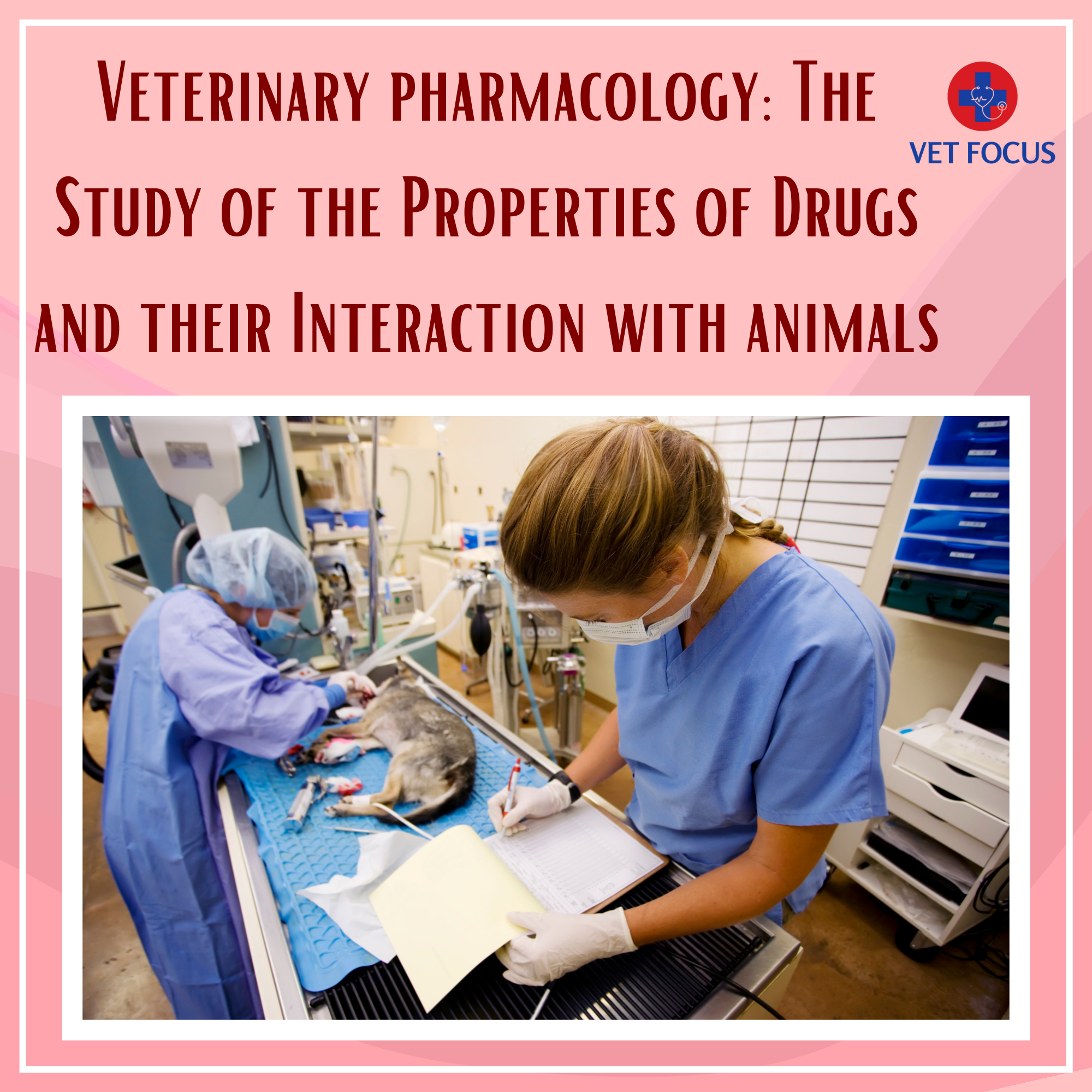 Vertinary Pharmacology: The study of the properties of drugs and their ...