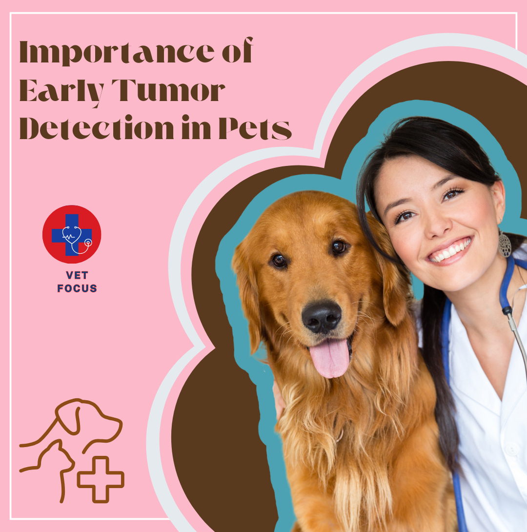 A Veterinary Student’s Guide to the Importance of Early Tumor Detectio ...