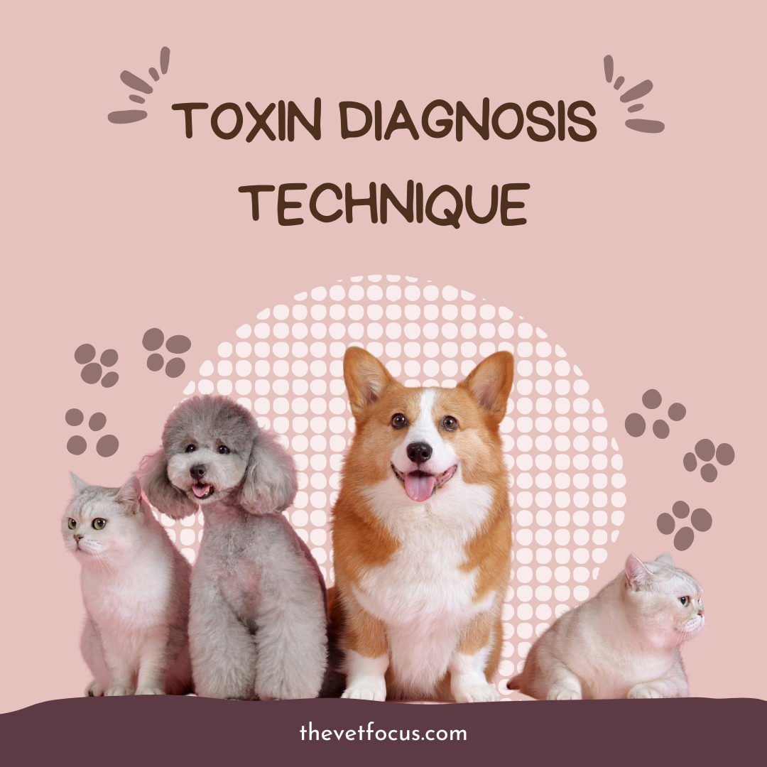 Top 5 Toxin Diagnosis Techniques Every Vet Student Must Learn – Vet Focus