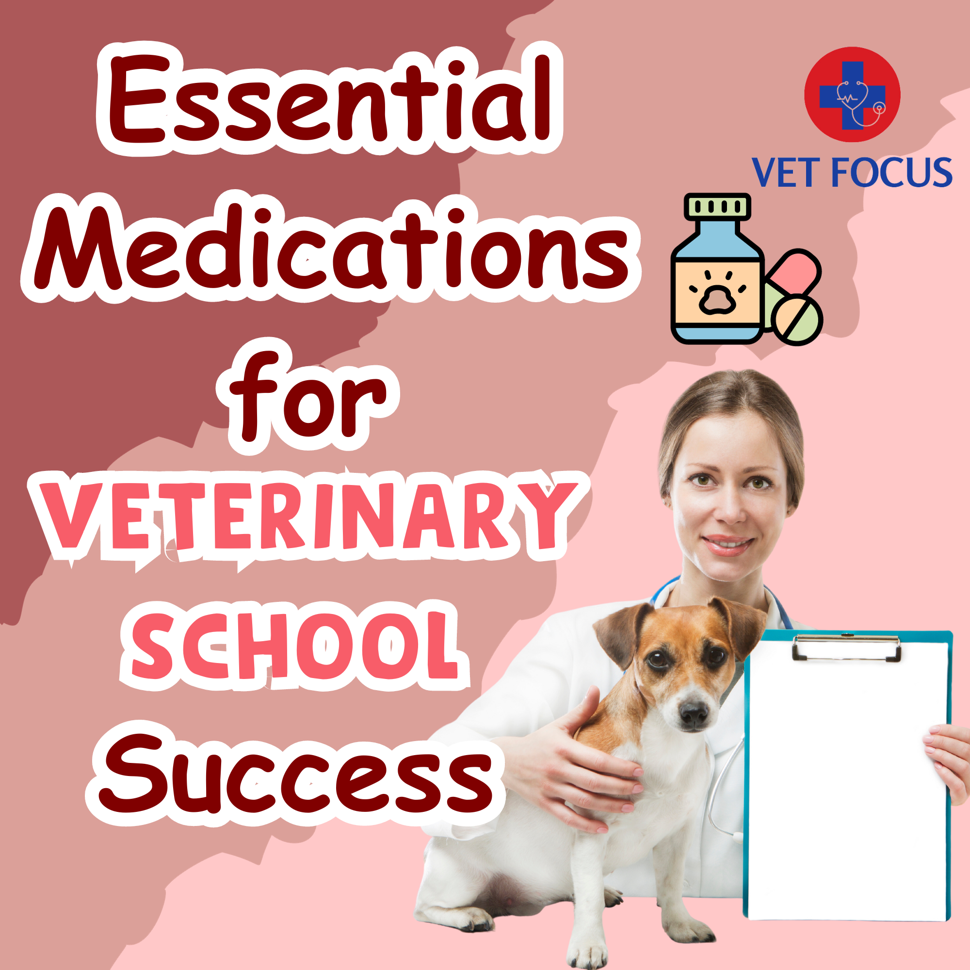 Essential Medications for Veterinary School Success – Vet Focus