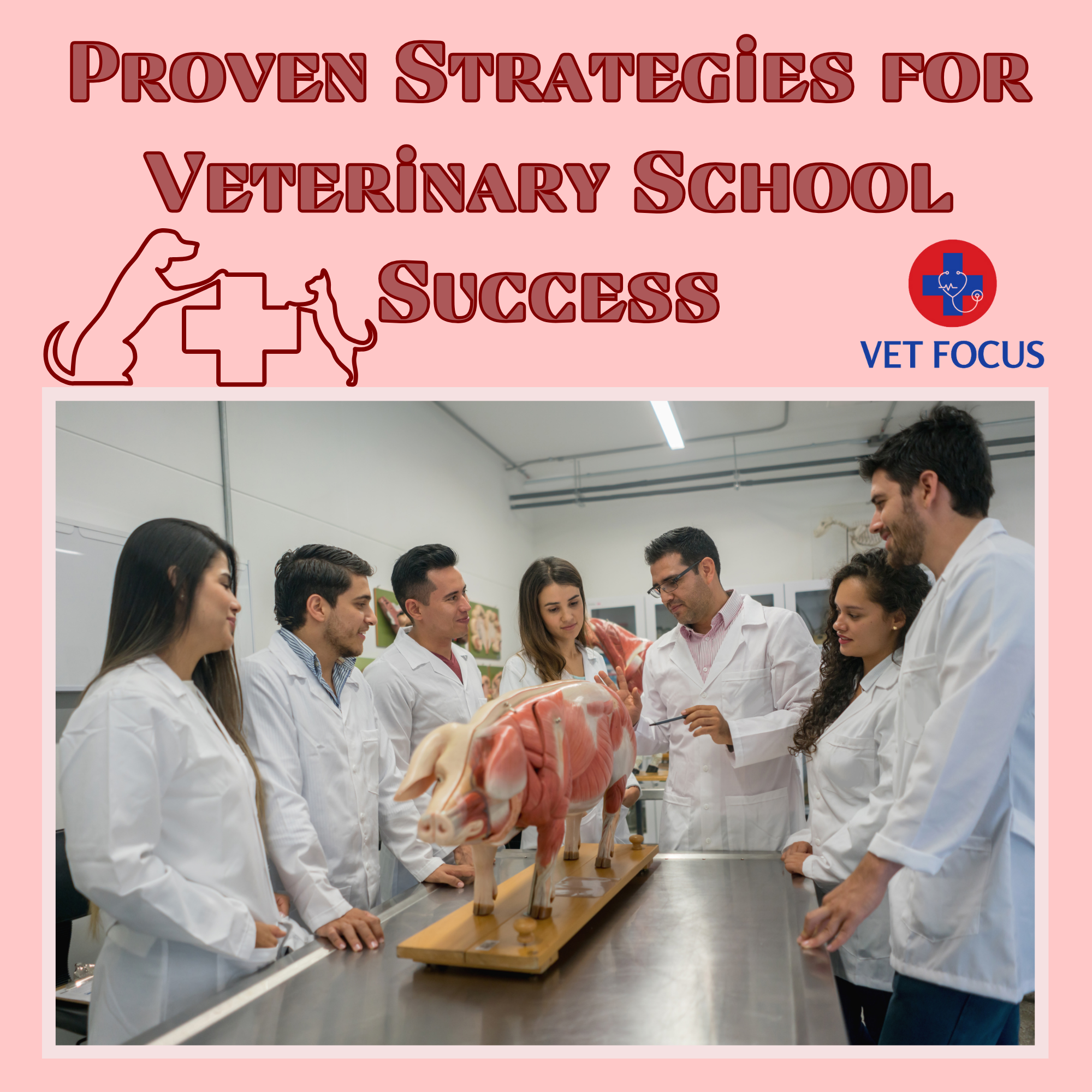 Proven Strategies for Veterinary School Success – Vet Focus