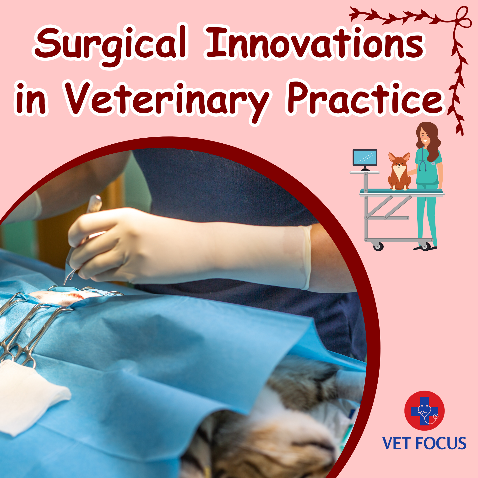 Surgical Innovations in Veterinary Practice – Vet Focus