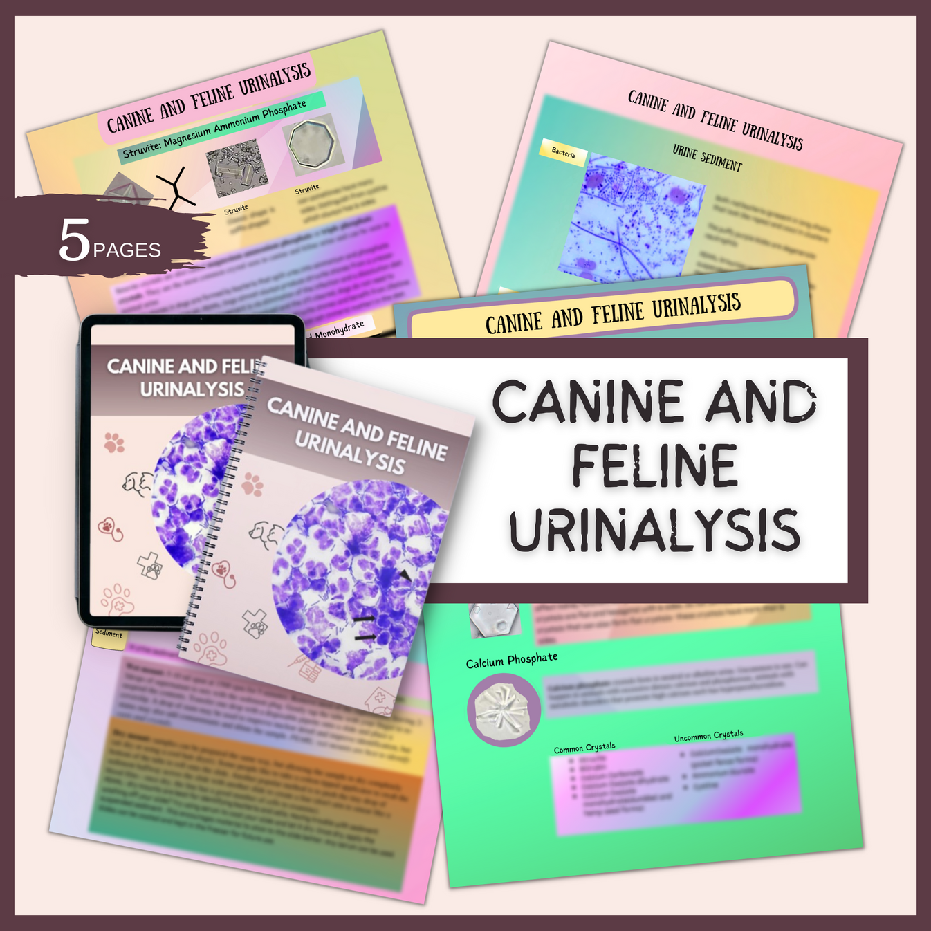 CANINE AND FELINE URINAILYSIS| 5 PAGES|4 TOPICS – Vet Focus