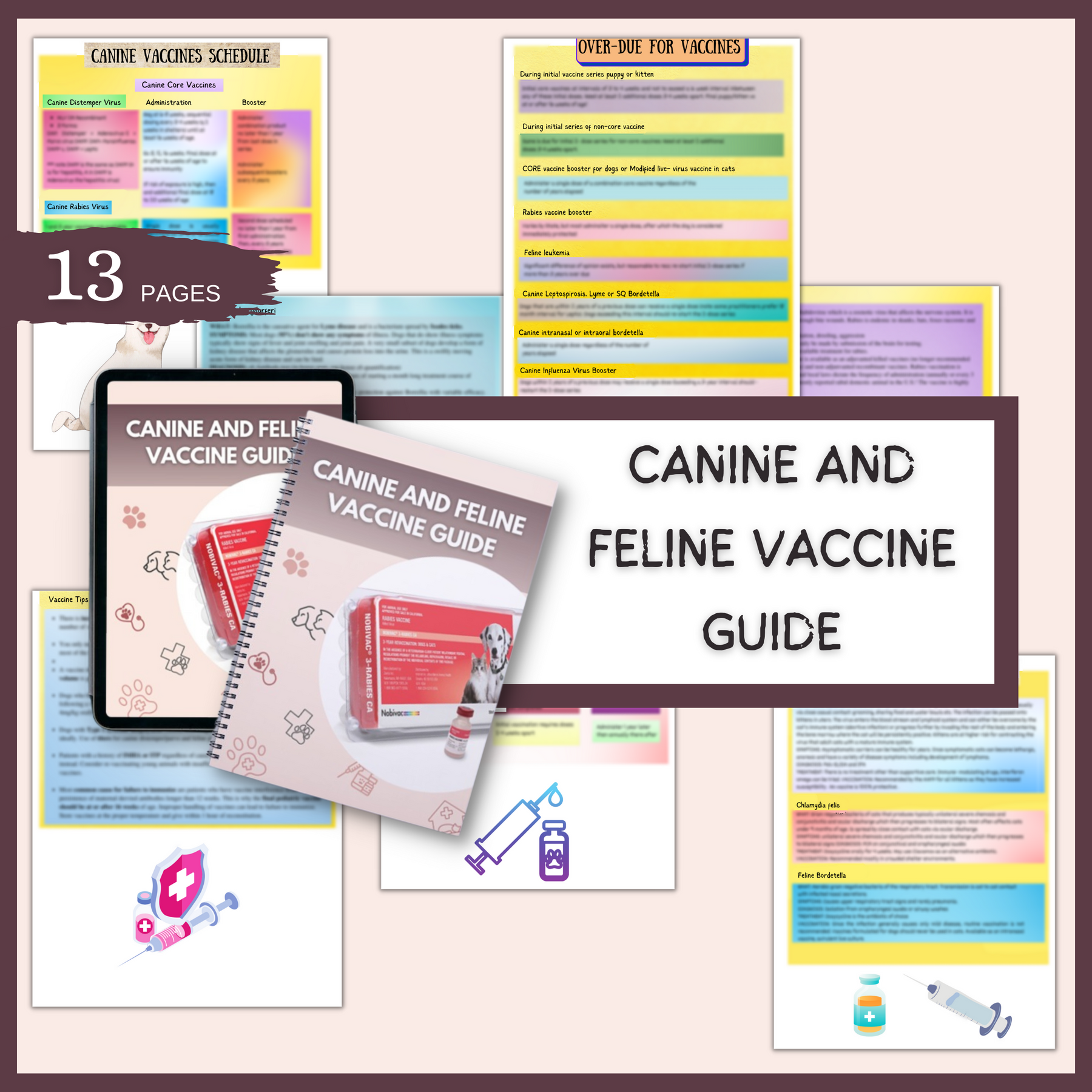 CANINE AND FELINE VACCINE GUIDE| 13 PAGES| 9 TOPICS – Vet Focus