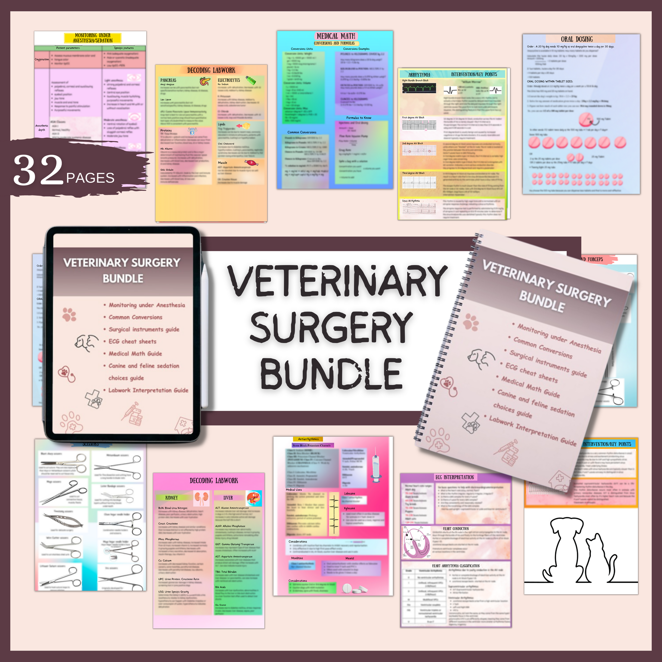 VETERINARY SURGERY BUNDLE | 32 Pages | 7 Topics – Vet Focus