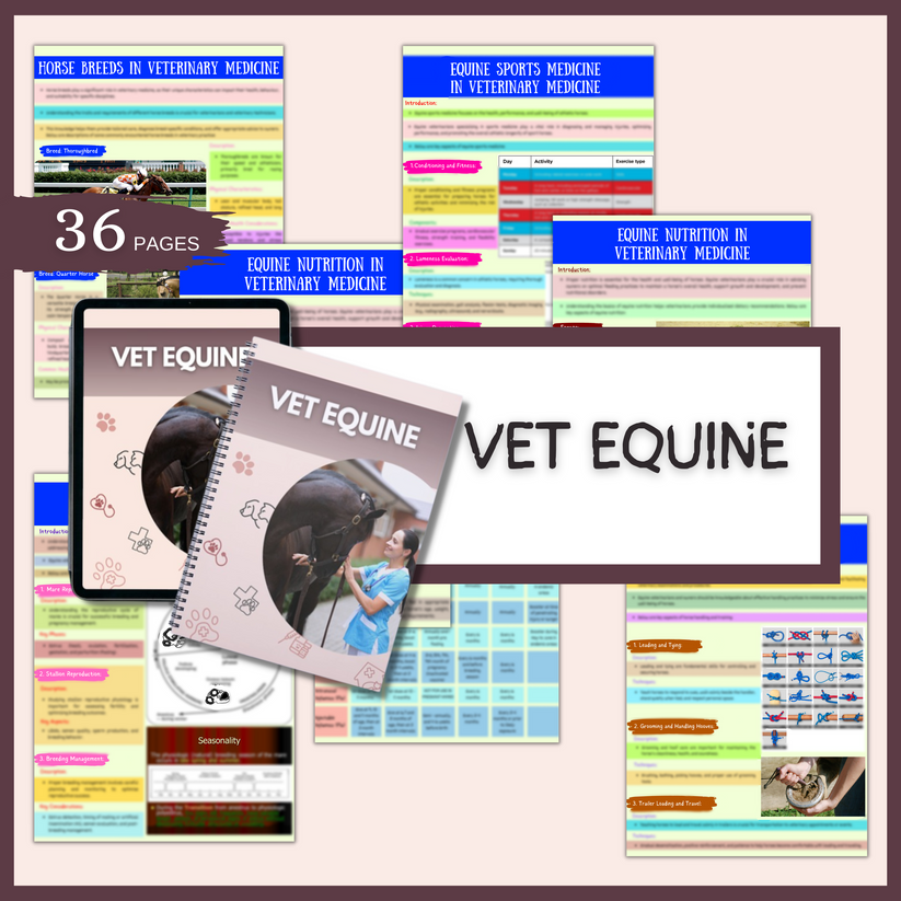 VET Equine | 36 Pages| 9 topics – Vet Focus