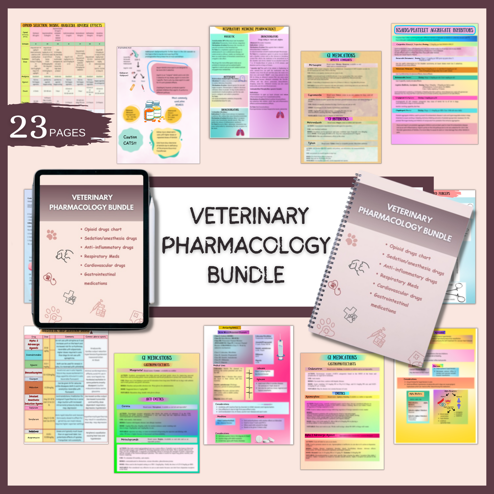 VETERINARY PHARMACOLOGY BUNDLE – Vet Focus