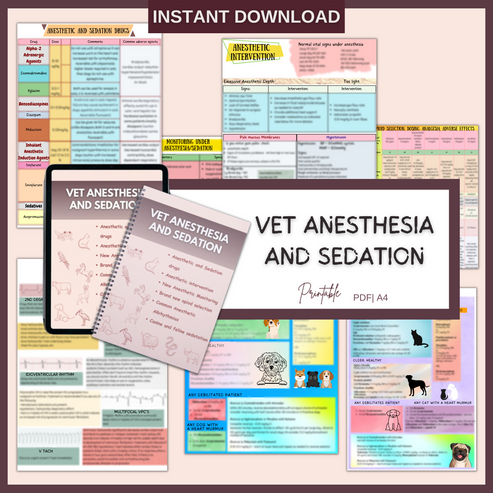 The Complete Vet School Bundle | Spiral + Digital – Vet Focus
