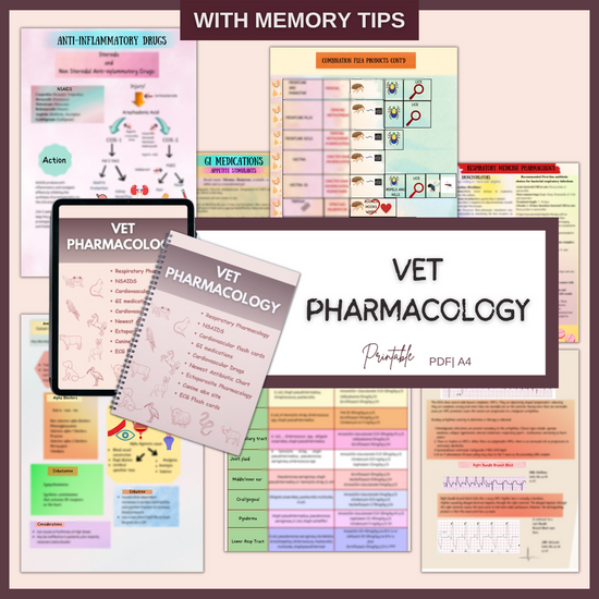 THE COMPLETE VET SCHOOL BUNDLE & Prep Guide for VTNE , NAVLE – Vet Focus