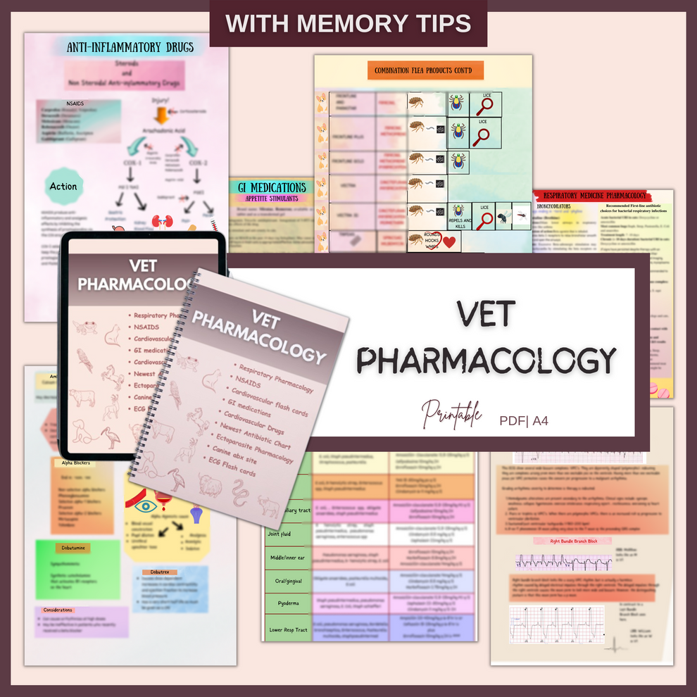 The Complete Vet School Bundle | Spiral + Digital – Vet Focus