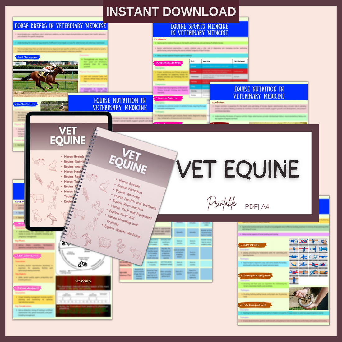 The Complete Vet School Bundle | Spiral + Digital – Vet Focus