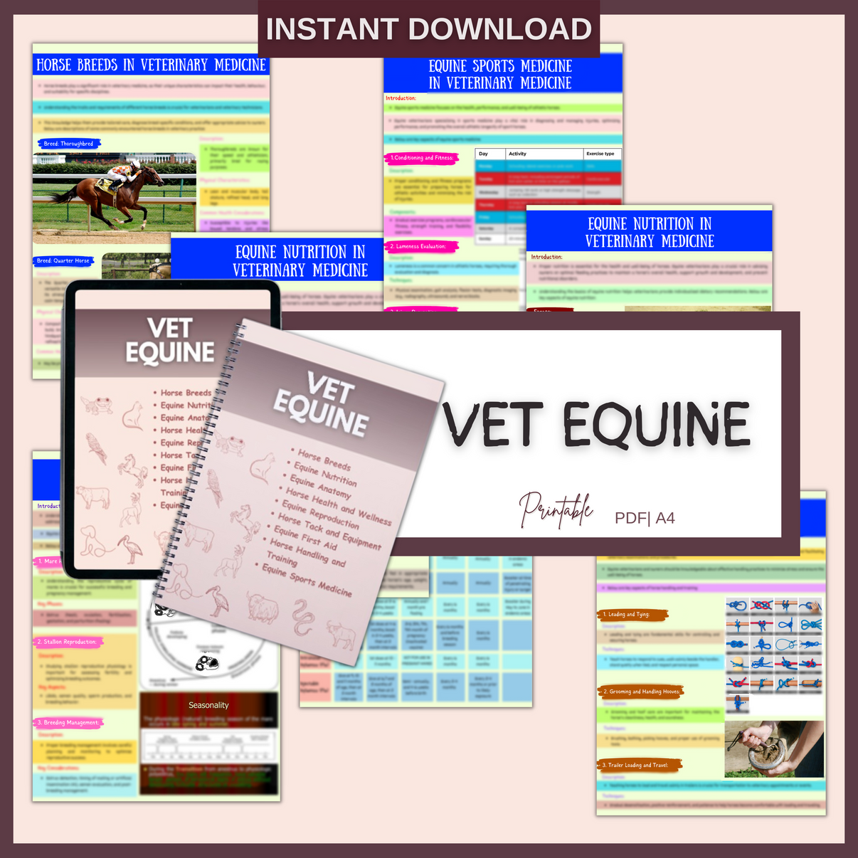 The Complete Vet School Bundle™ – Vet Focus