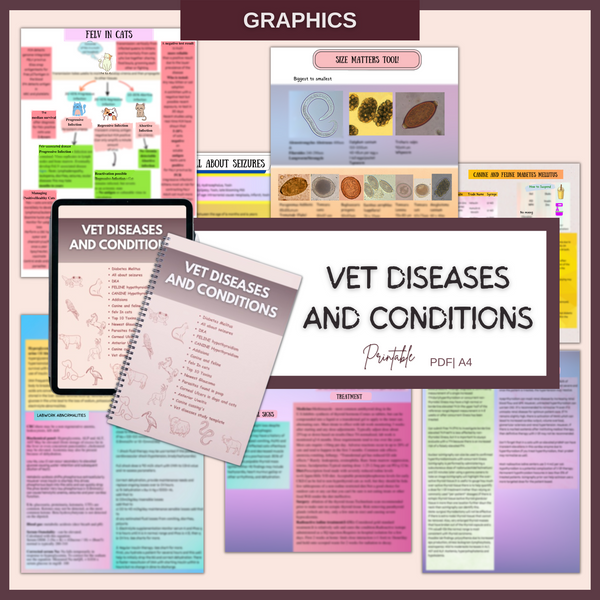 The Complete Vet School Bundle | Spiral + Digital – Vet Focus