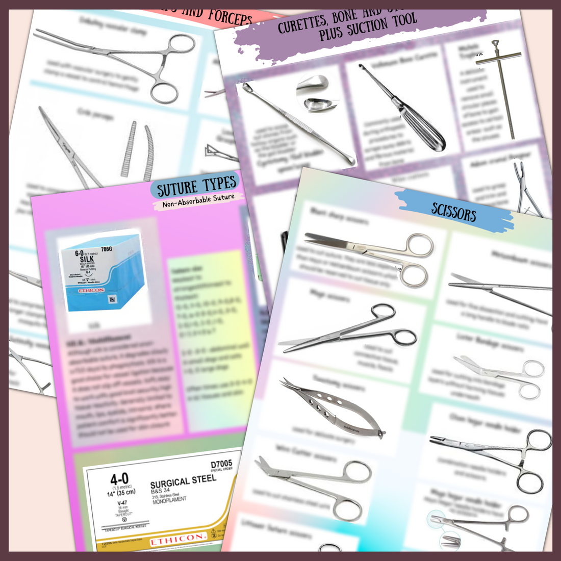 VET SURGICAL INSTRUMENTS | 9 PAGES | 7 TOPICS – Vet Focus