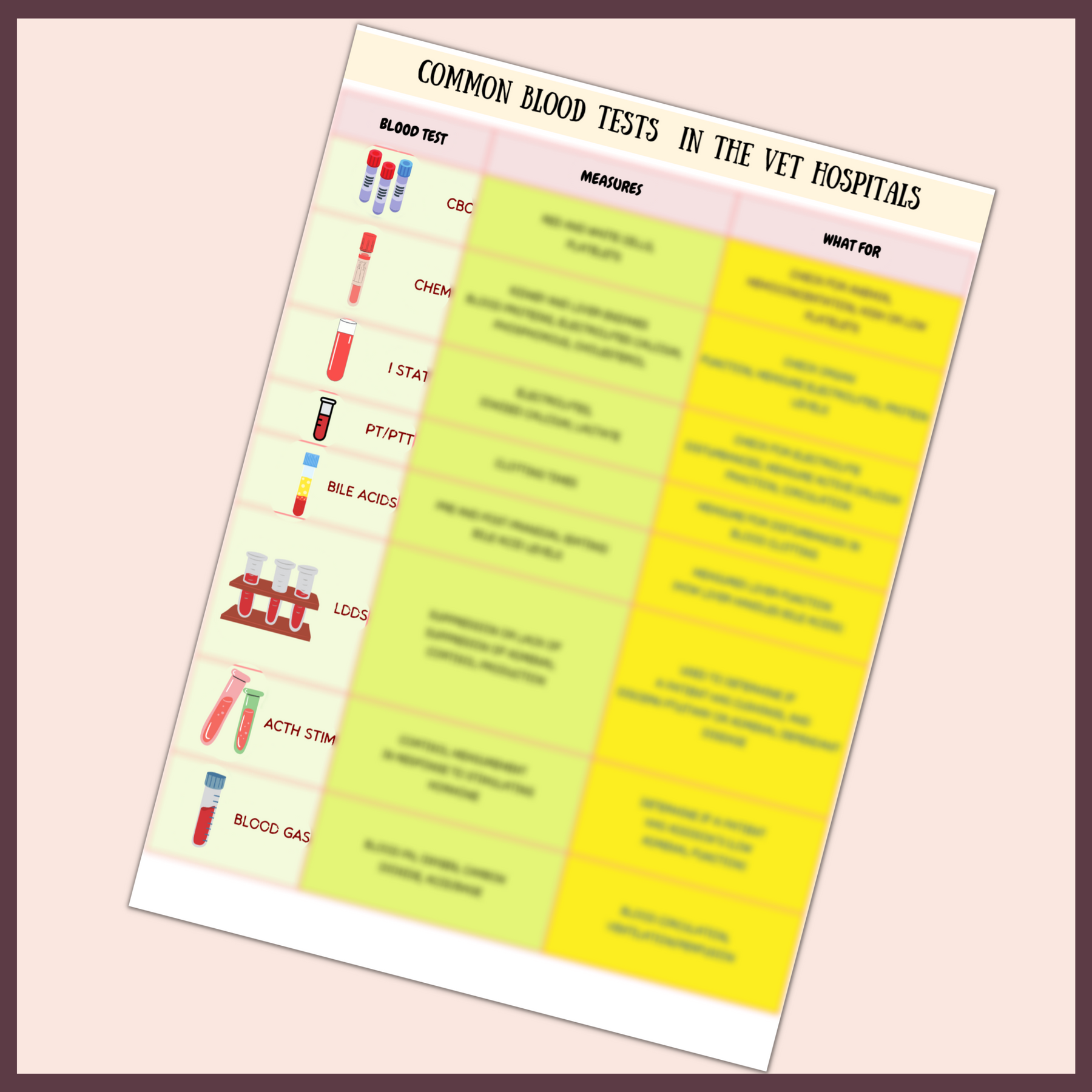 COMMON BLOOD TESTS | 3 PAGES |1 TOPIC – Vet Focus