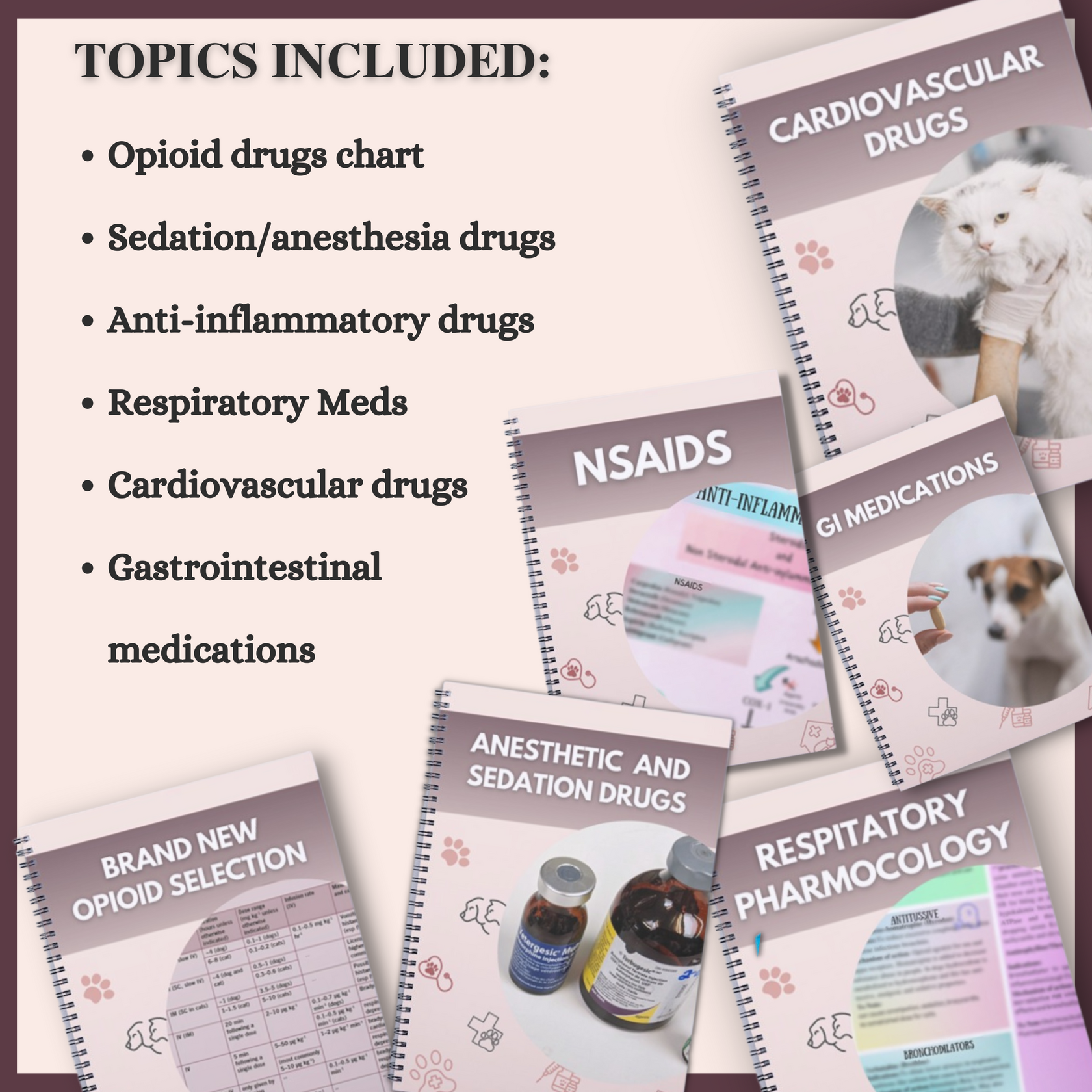 VETERINARY PHARMACOLOGY BUNDLE – Vet Focus