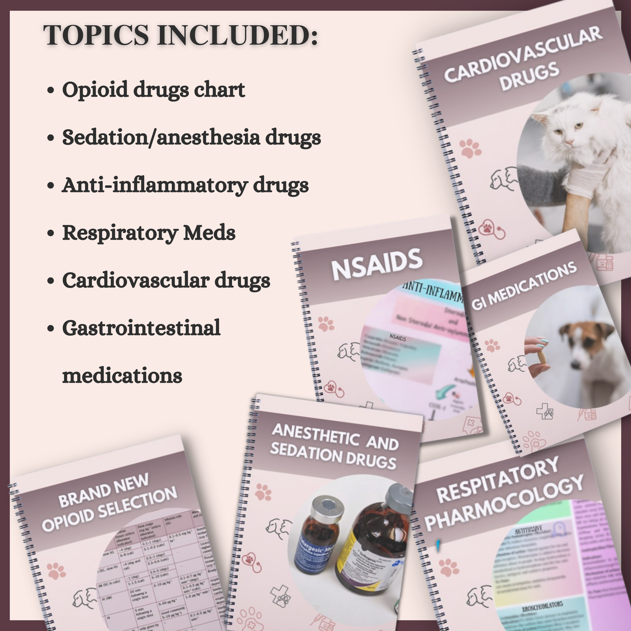 VETERINARY PHARMACOLOGY BUNDLE – Vet Focus