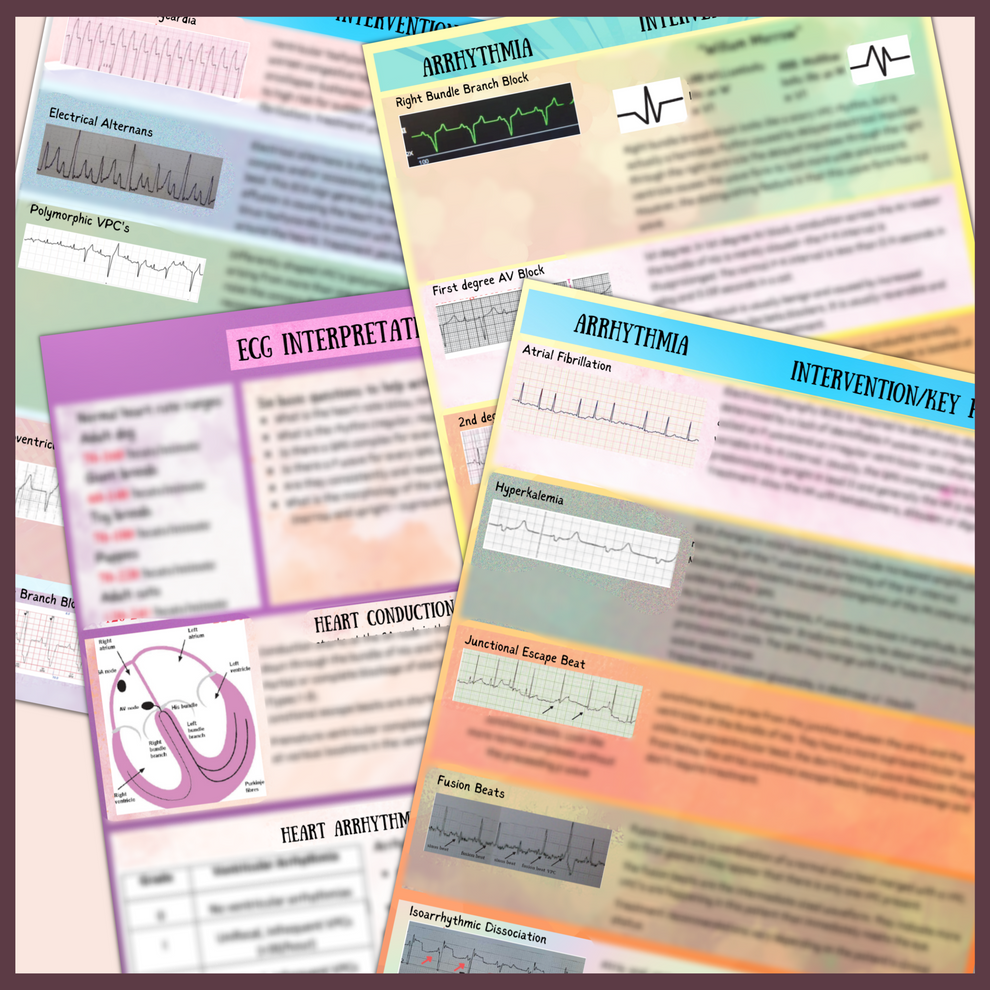 ECG CHEAT SHEETS | 5 PAGES | 4 TOPICS – Vet Focus