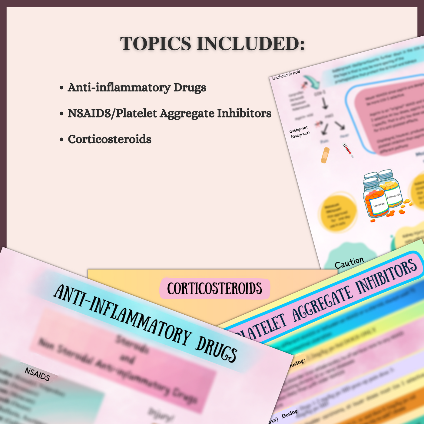 NSAIDS | 7 PAGES | 3 TOPICS – Vet Focus