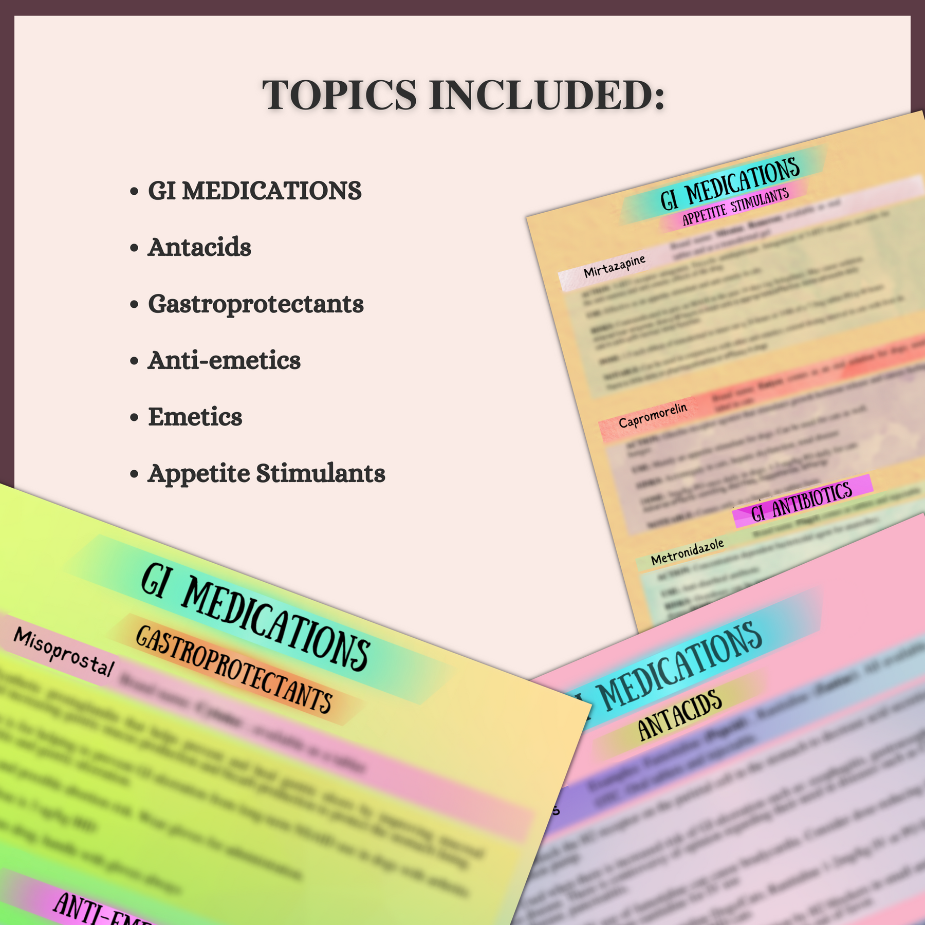 GI MEDICATIONS | 4 PAGES | 6 TOPICS – Vet Focus