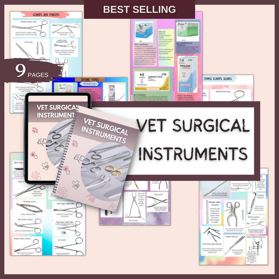 Fundamentals of VET MED | 70 Pages | 8 Topics – Vet Focus