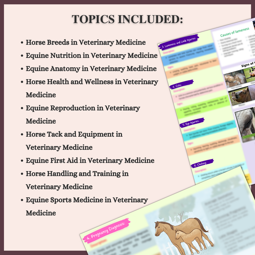 VET Equine | 36 Pages| 9 topics – Vet Focus