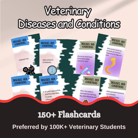 3000+ Flash Cards and Quiz Bundle for VTNE and Vet School Prep – Vet Focus