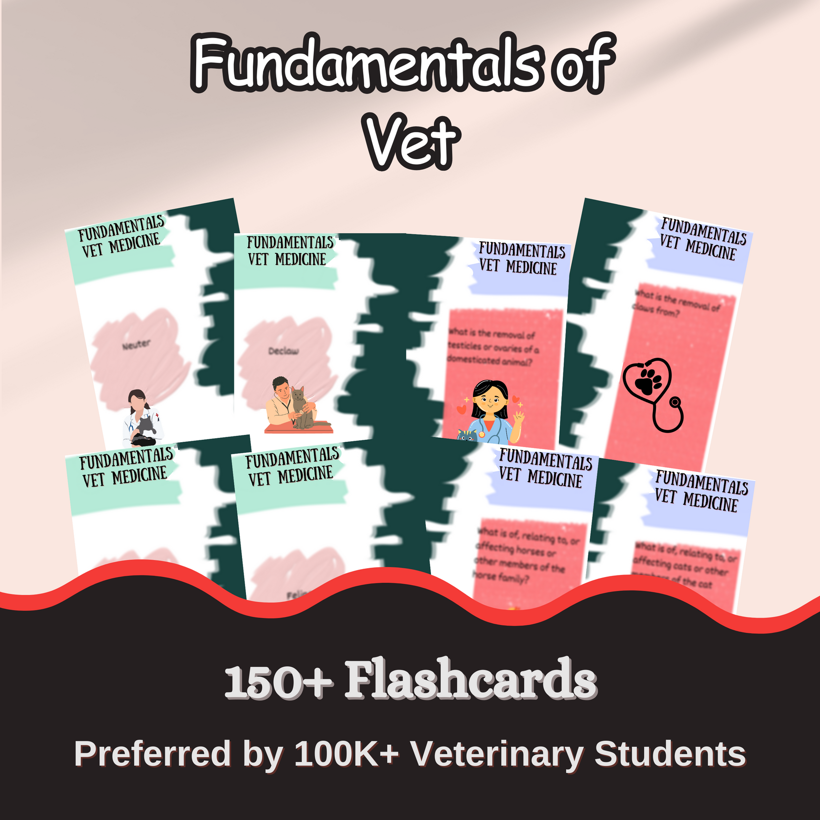 3000+ Flash Cards and Quiz Bundle for VTNE and Vet School Prep – Vet Focus