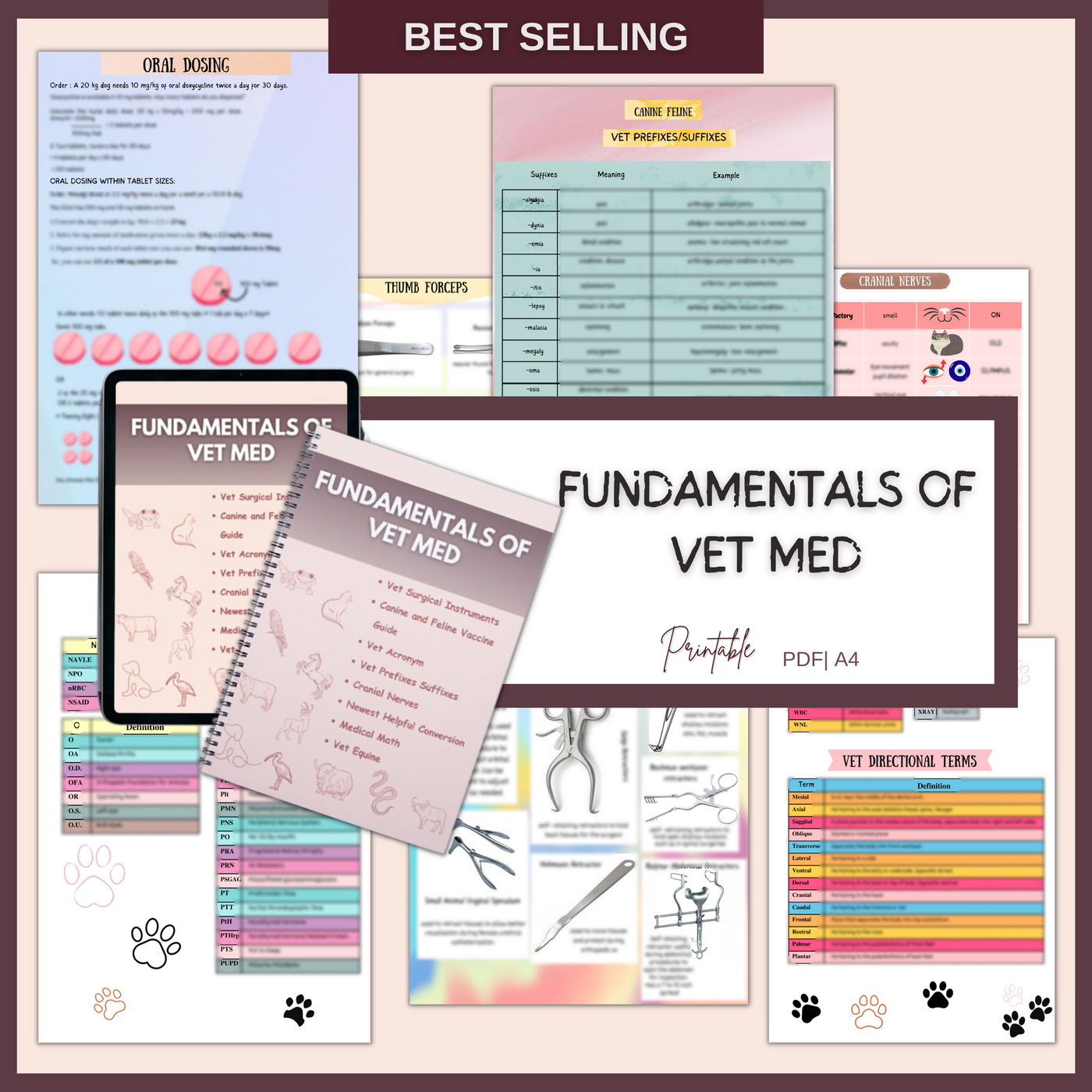 THE COMPLETE VET SCHOOL BUNDLE | VTNE Prep – Vet Focus