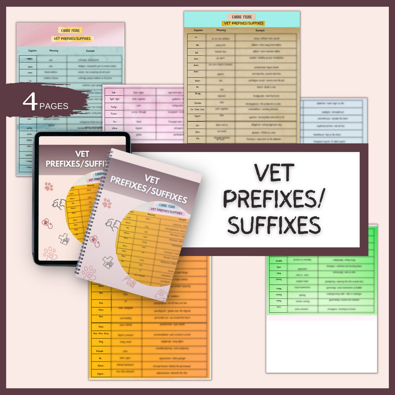 Fundamentals of VET MED | 70 Pages | 8 Topics – Vet Focus