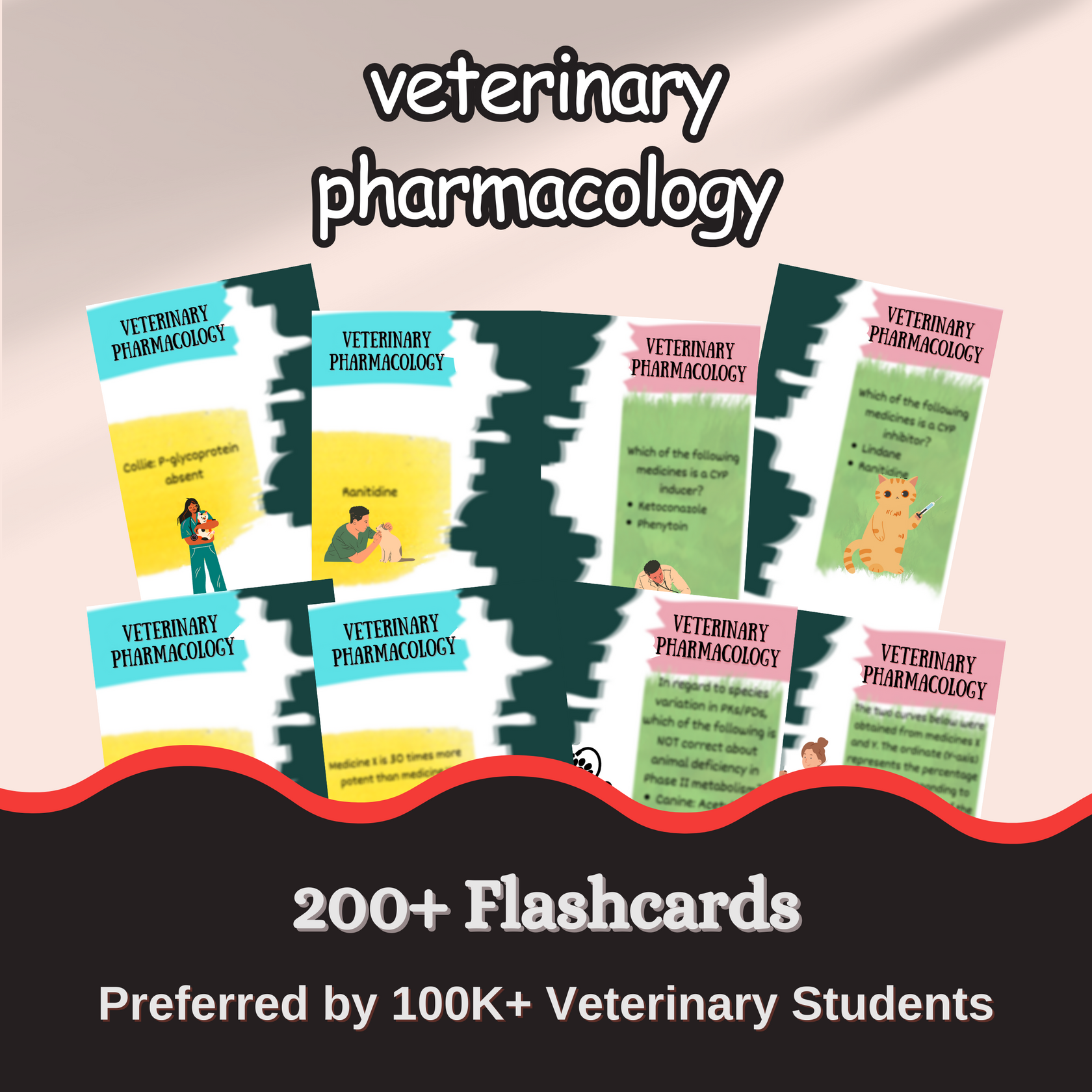 3000+ Flash Cards and Quiz Bundle for VTNE and Vet School Prep – Vet Focus
