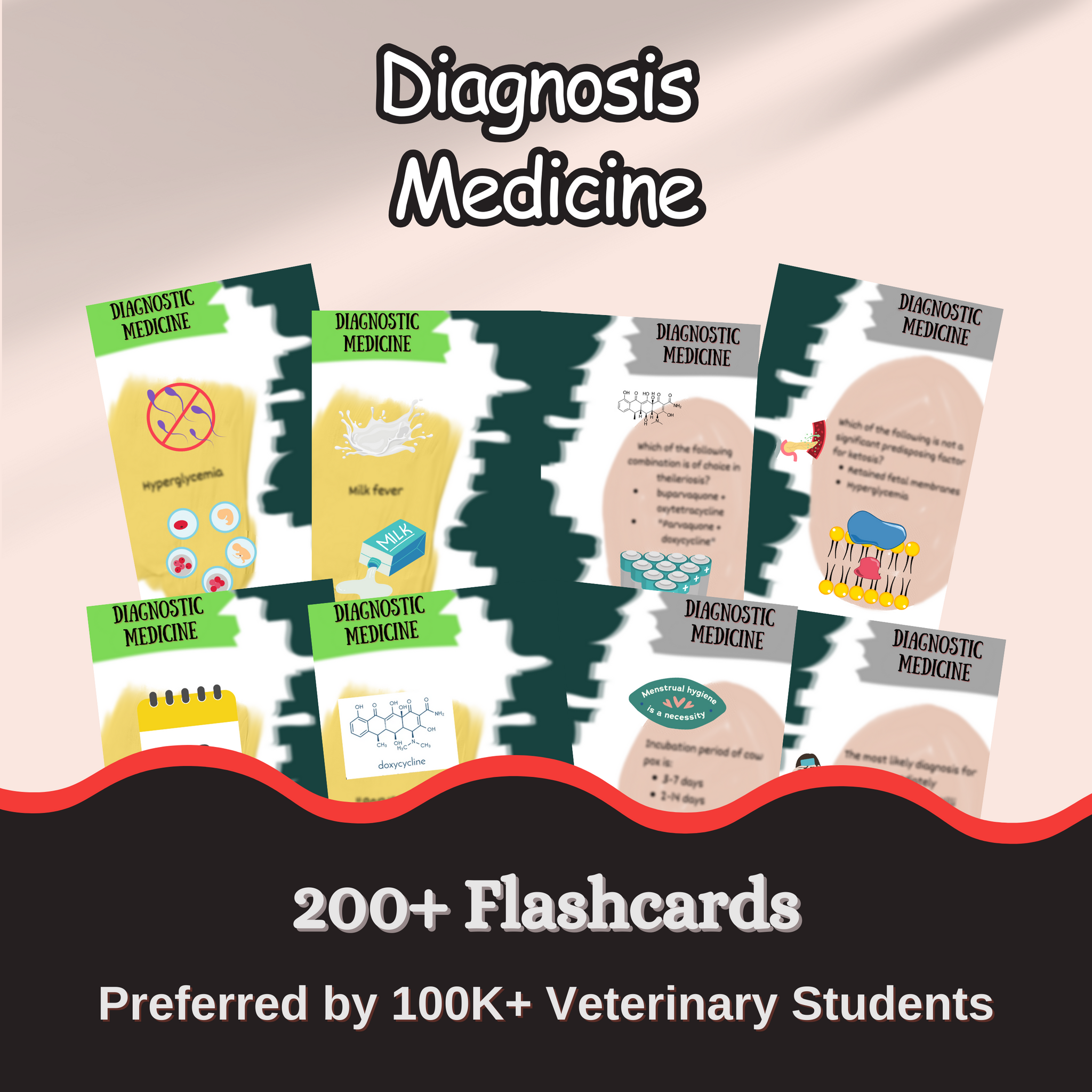 3000+ Flash Cards and Quiz Bundle for VTNE and Vet School Prep – Vet Focus