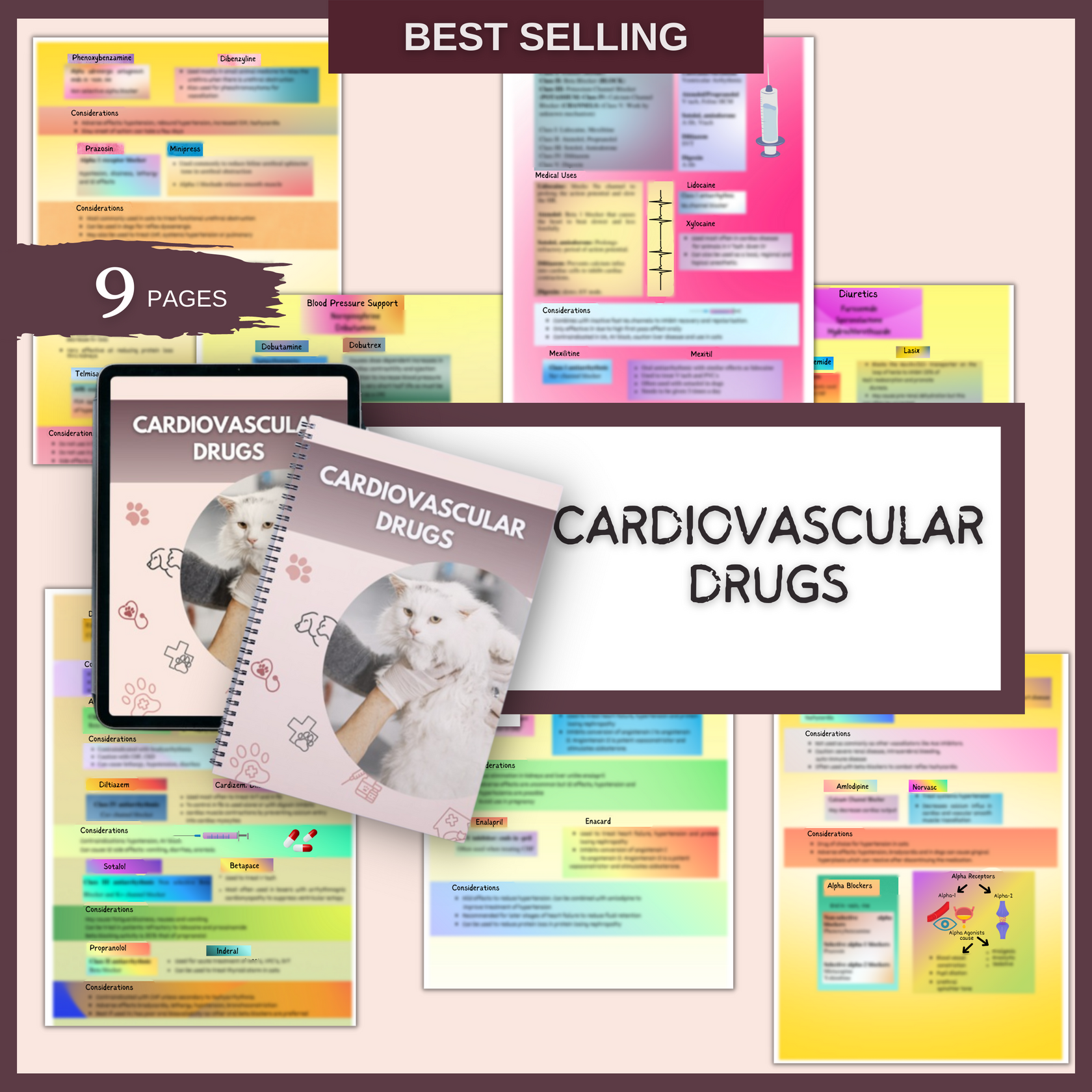 VETERINARY PHARMACOLOGY BUNDLE – Vet Focus