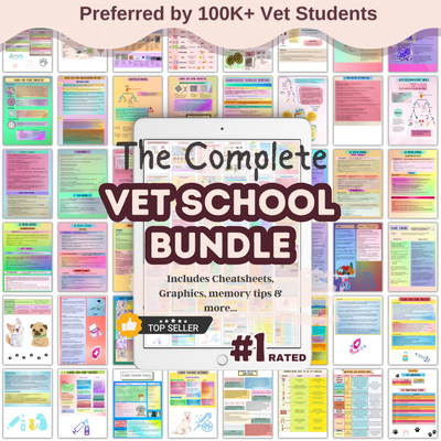 THE COMPLETE VET SCHOOL BUNDLE | VTNE Prep – Vet Focus