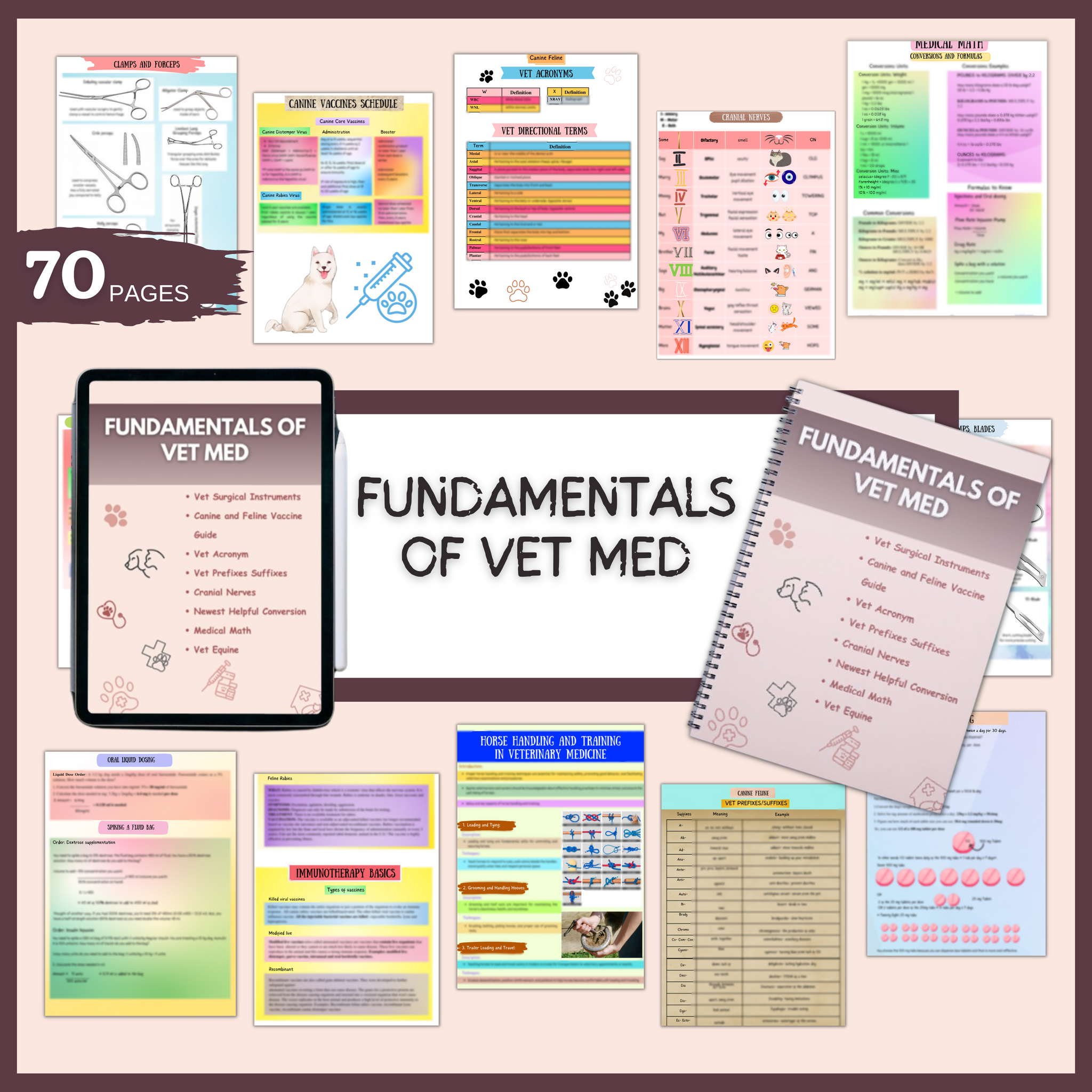 Fundamentals of VET MED | 70 Pages | 8 Topics – Vet Focus