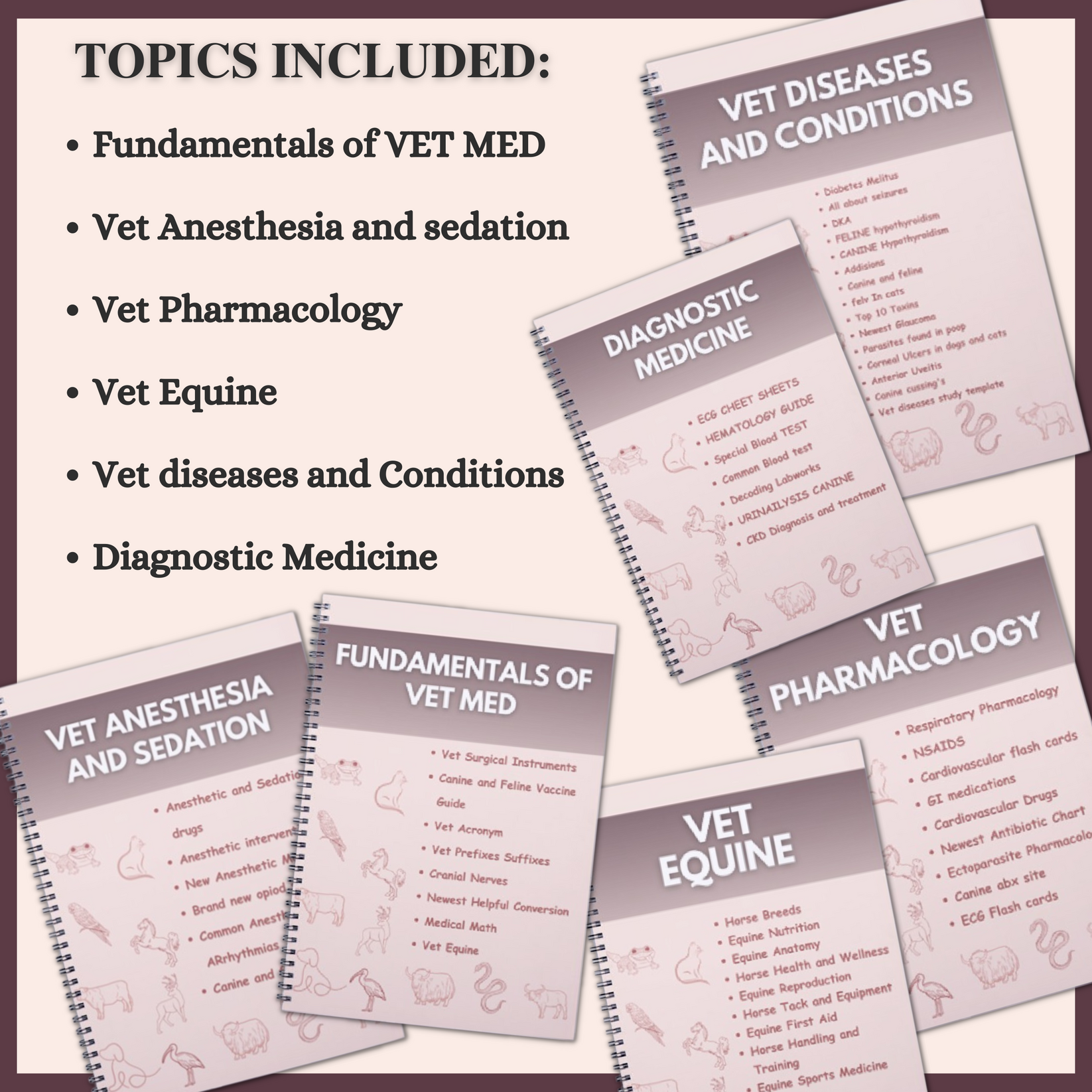 The Complete Vet School Bundle | Spiral + Digital – Vet Focus