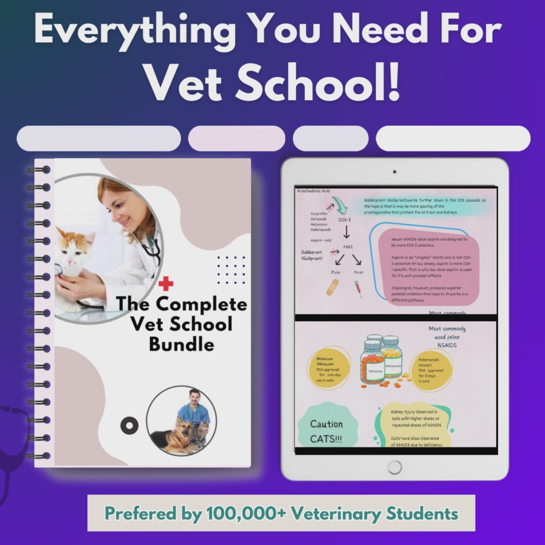 THE COMPLETE VET SCHOOL BUNDLE | VTNE Prep – Vet Focus